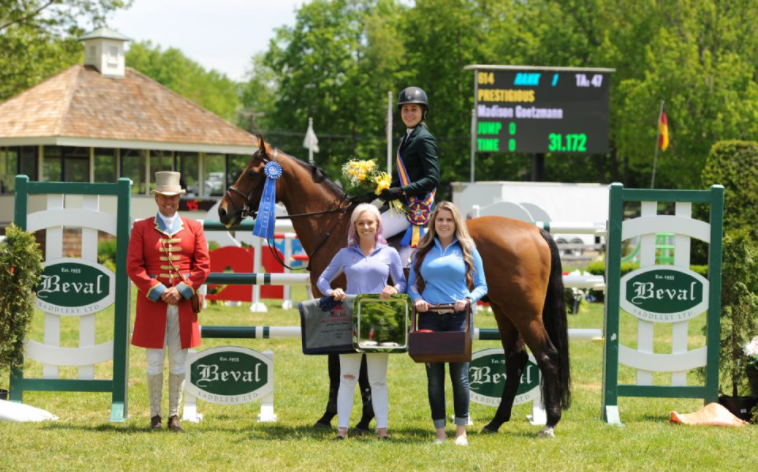 Beval Saddlery – Beval Saddlery