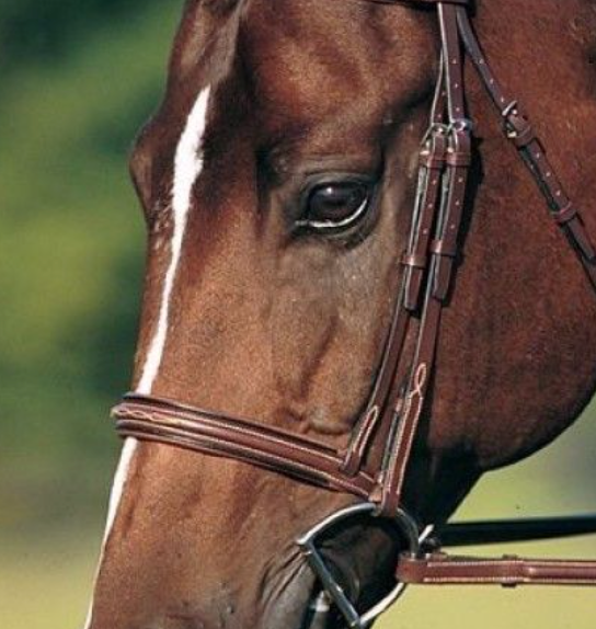 Beval Heritage Fancy Stitch Padded Caveson – Beval Saddlery